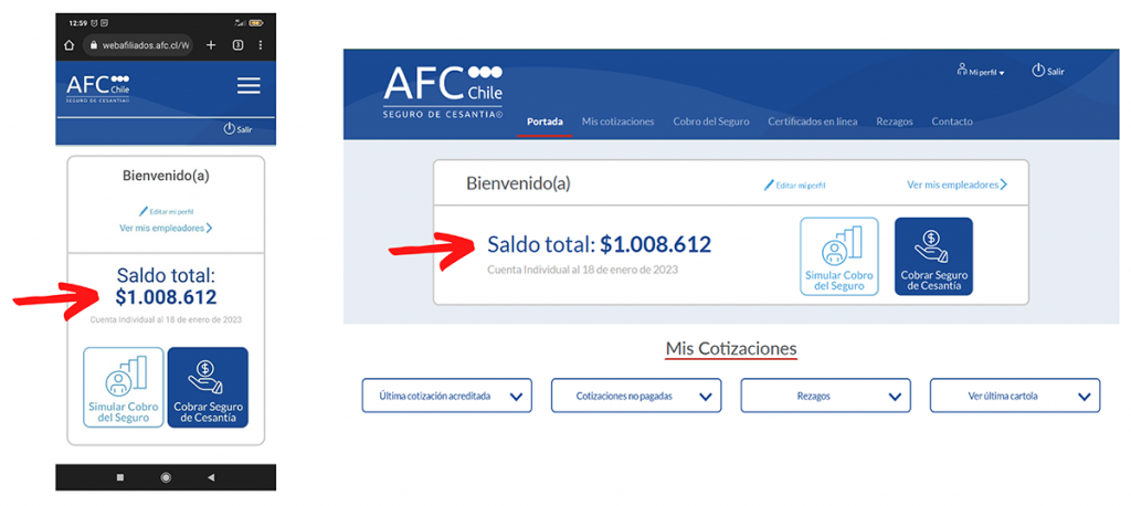 Saldo del afiliado en la Sucursal Virtual — AFC